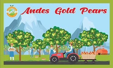 Andesbhumi - Premium Chilean Fruit Exports | Quality Fruits from Chile